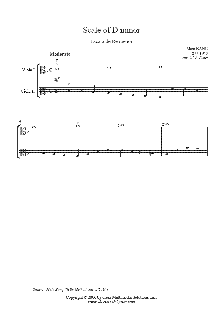 Viola Sheet Music For Beginners Nightrider: Viola By Richard Meyer